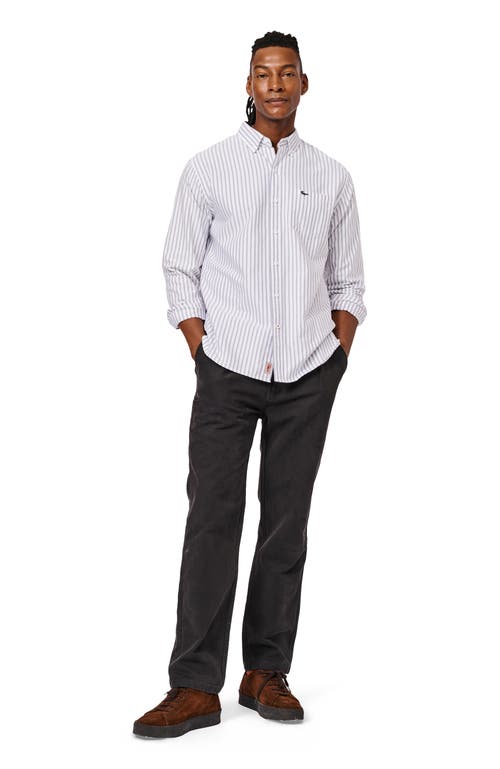 AUBIN aldridge oxford button down shirt